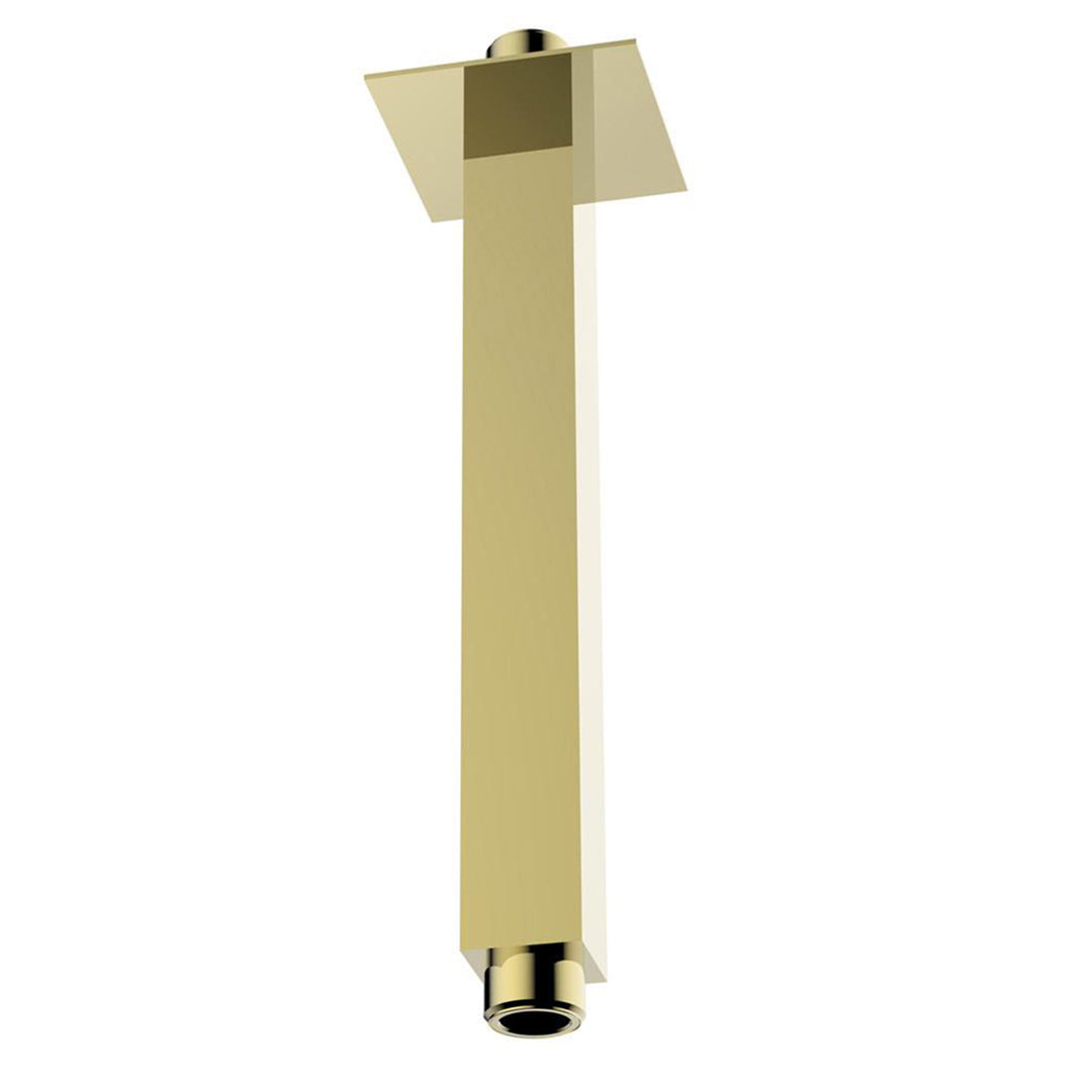 TS+ Shower Head – TREDEX